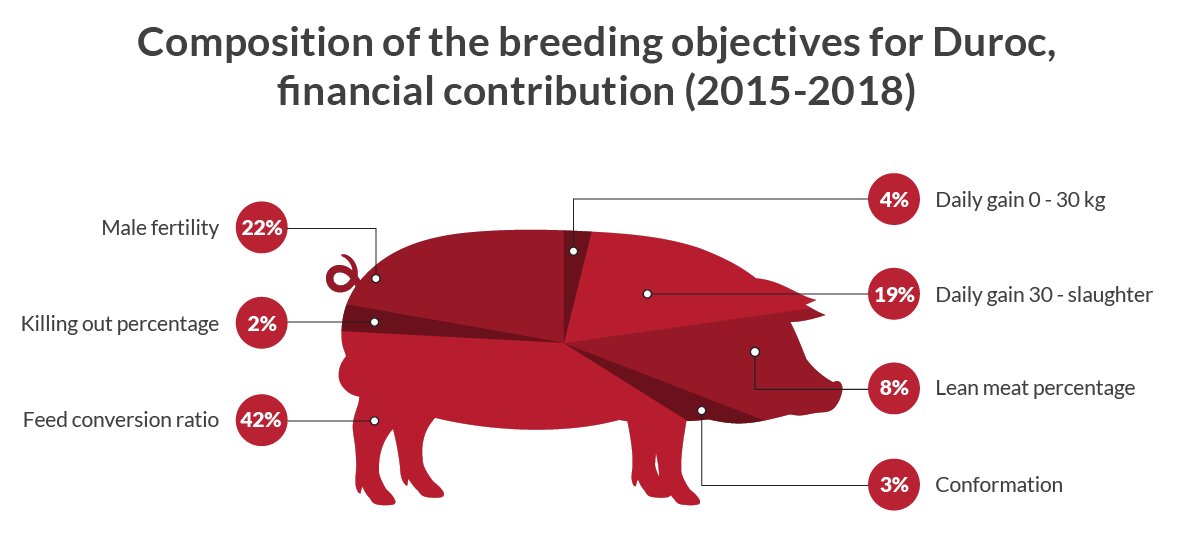 New DanBred breeding goals on the way! | News