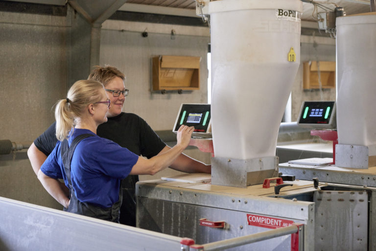 DanBred boosts genetic gain in feed conversion by an additional 10 % ...