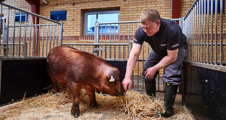 Contact Us | DanBred