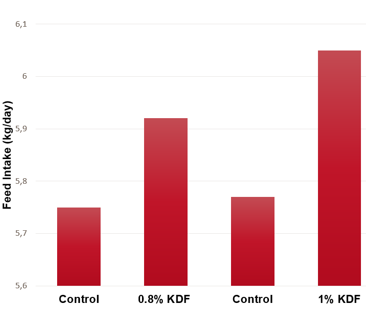 MAXIMISING SOW PERFORMANCE IN LACTATION | News