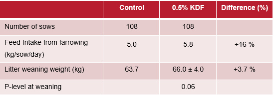 MAXIMISING SOW PERFORMANCE IN LACTATION | News
