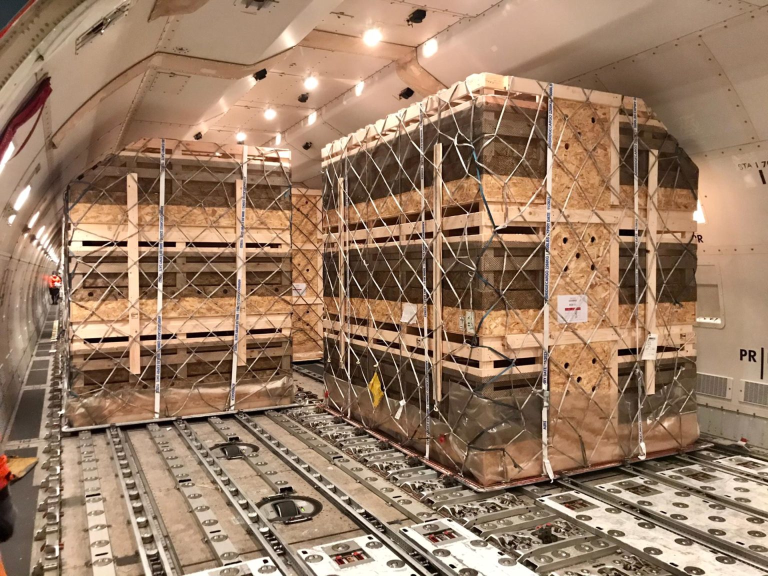 DanBred delivers 3,000 breeding animals to Russia | News | Productivity ...