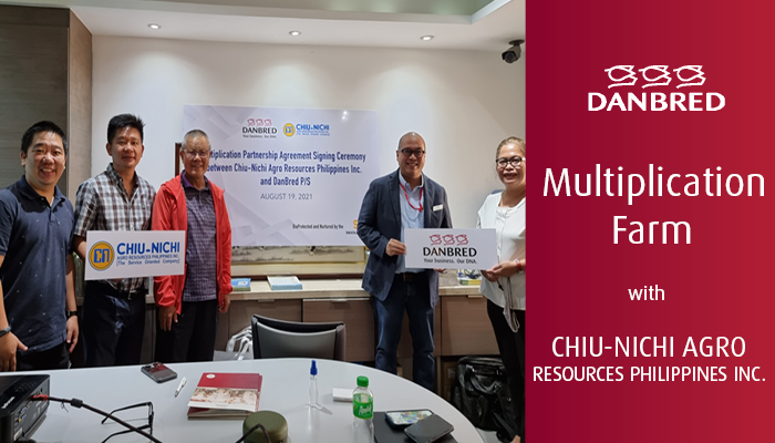 DanBred Multiplication in the Philippines | News
