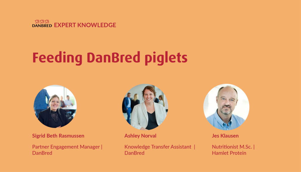 Register for FREE on the latest DanBred Webinar