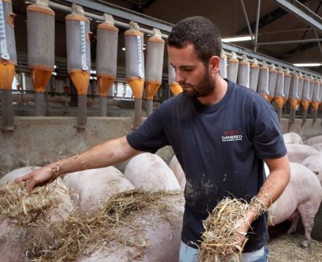 Pig Finisher Manual | DanBred