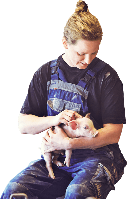 About DanBred | DanBred