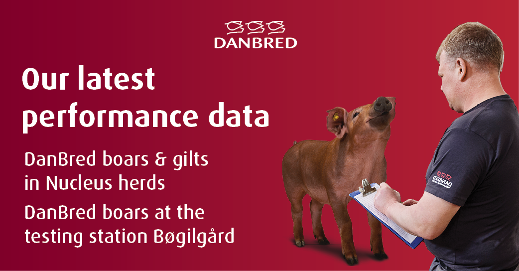Latest DanBred performance data | DanBred