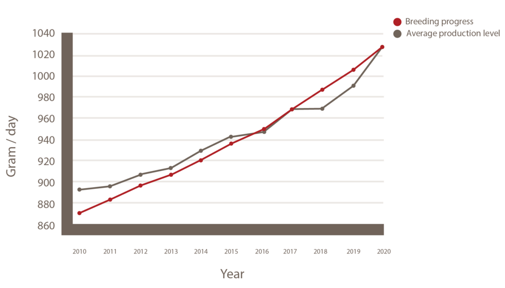 Our many years of breeding progress contributes to your future pig ...