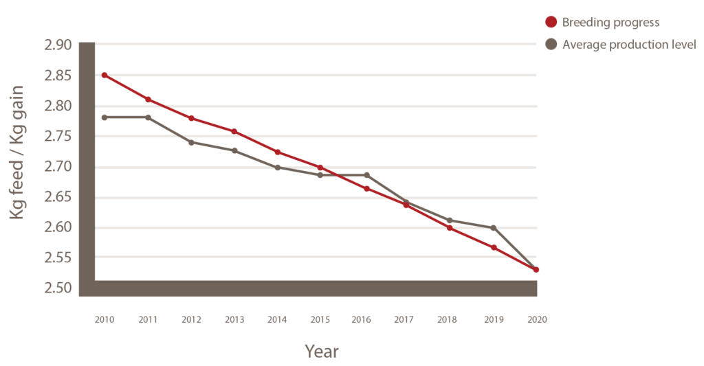 Our many years of breeding progress contributes to your future pig ...