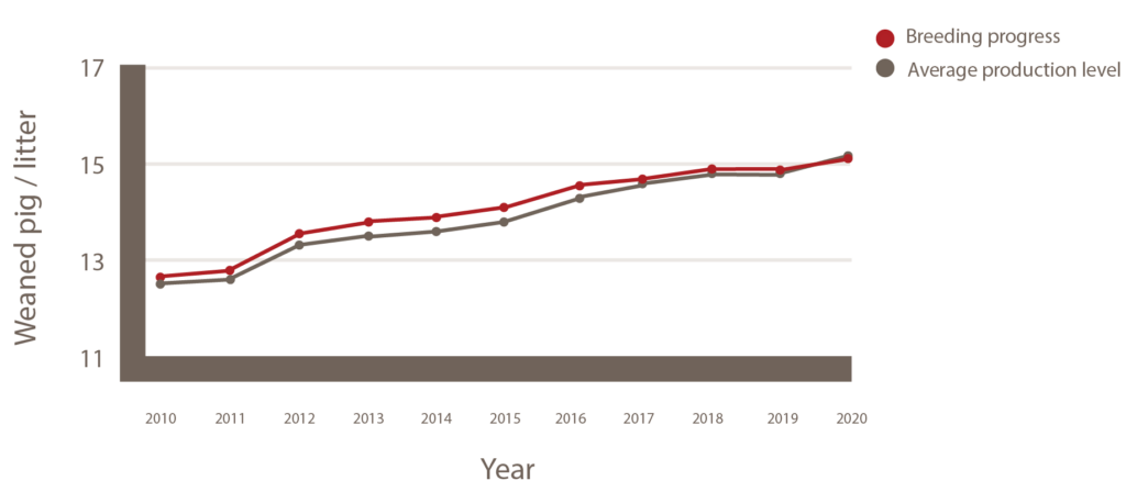 Our many years of breeding progress contributes to your future pig ...
