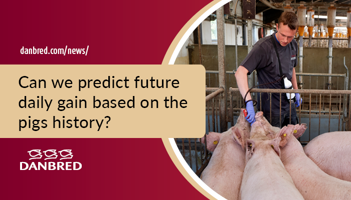 Can we use the pig’s history to increase future daily gain? | News ...