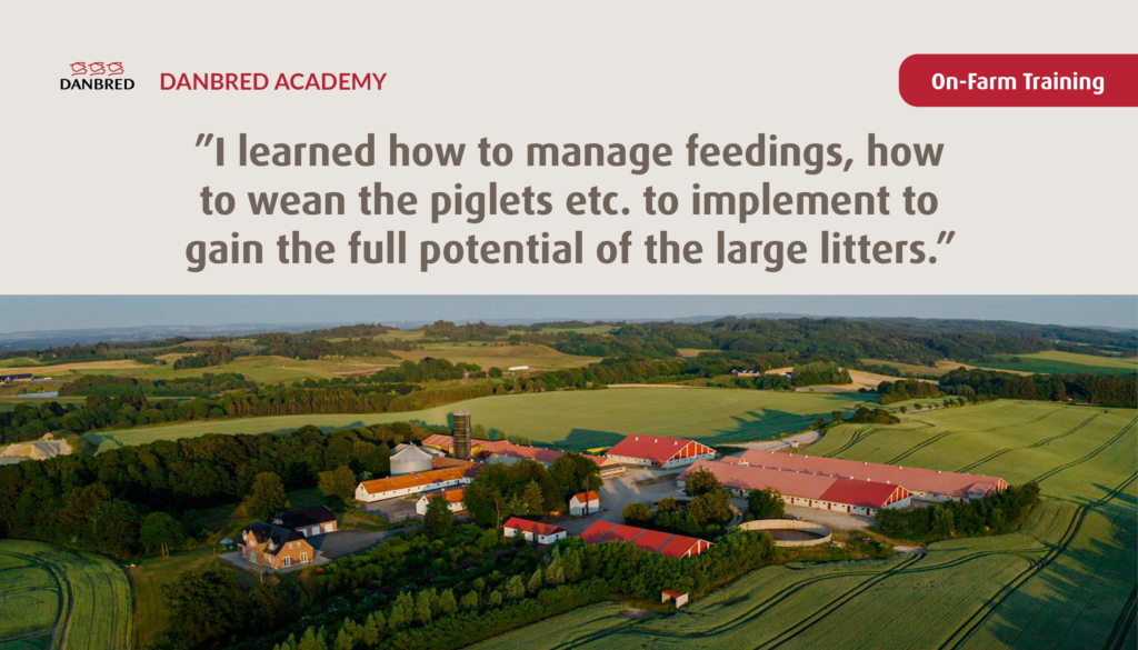 Europe Archives | DanBred