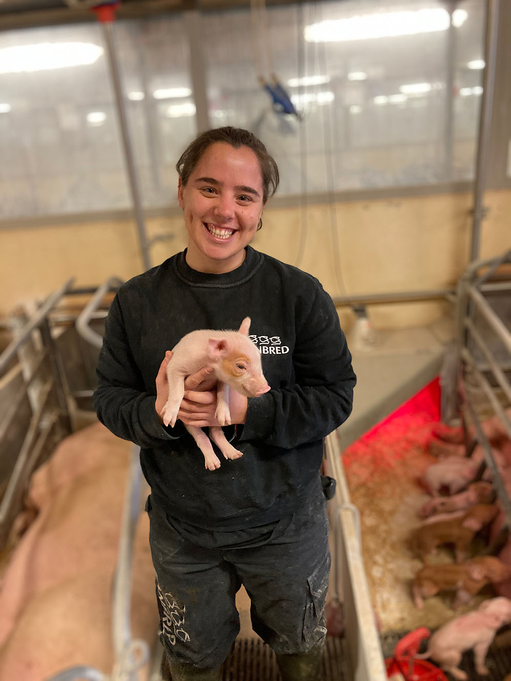 On-Farm training with DanBred Academy at Sneverholt | DanBred Case Stories