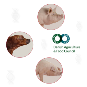 Who we are | DanBred