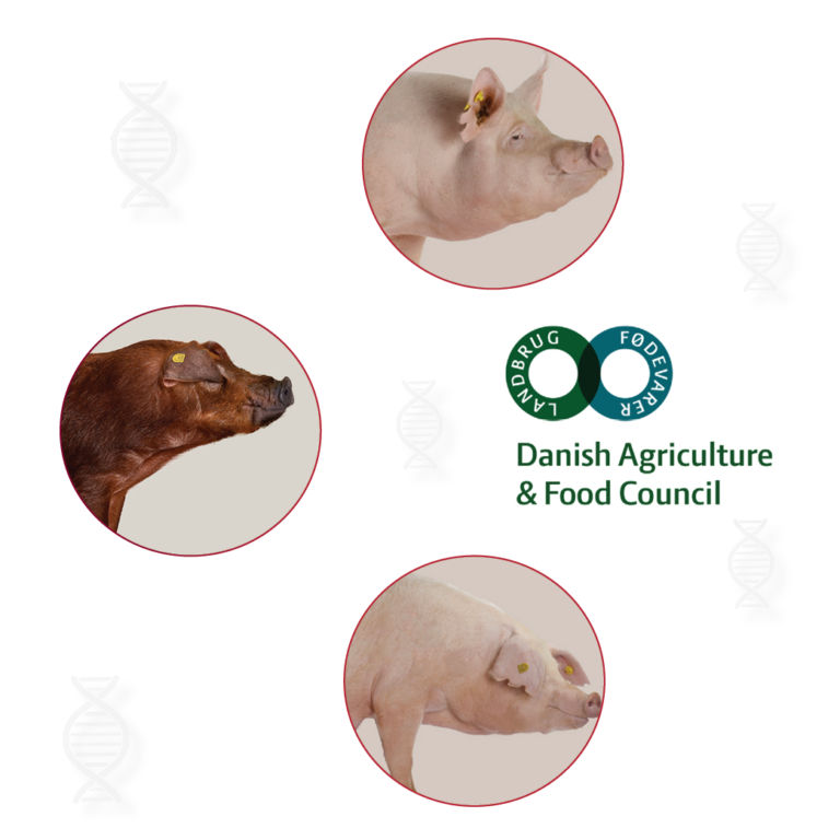 Who we are | DanBred