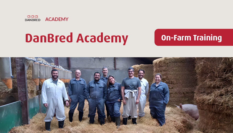 On-farm training - LATAM | DanBred Case Stories