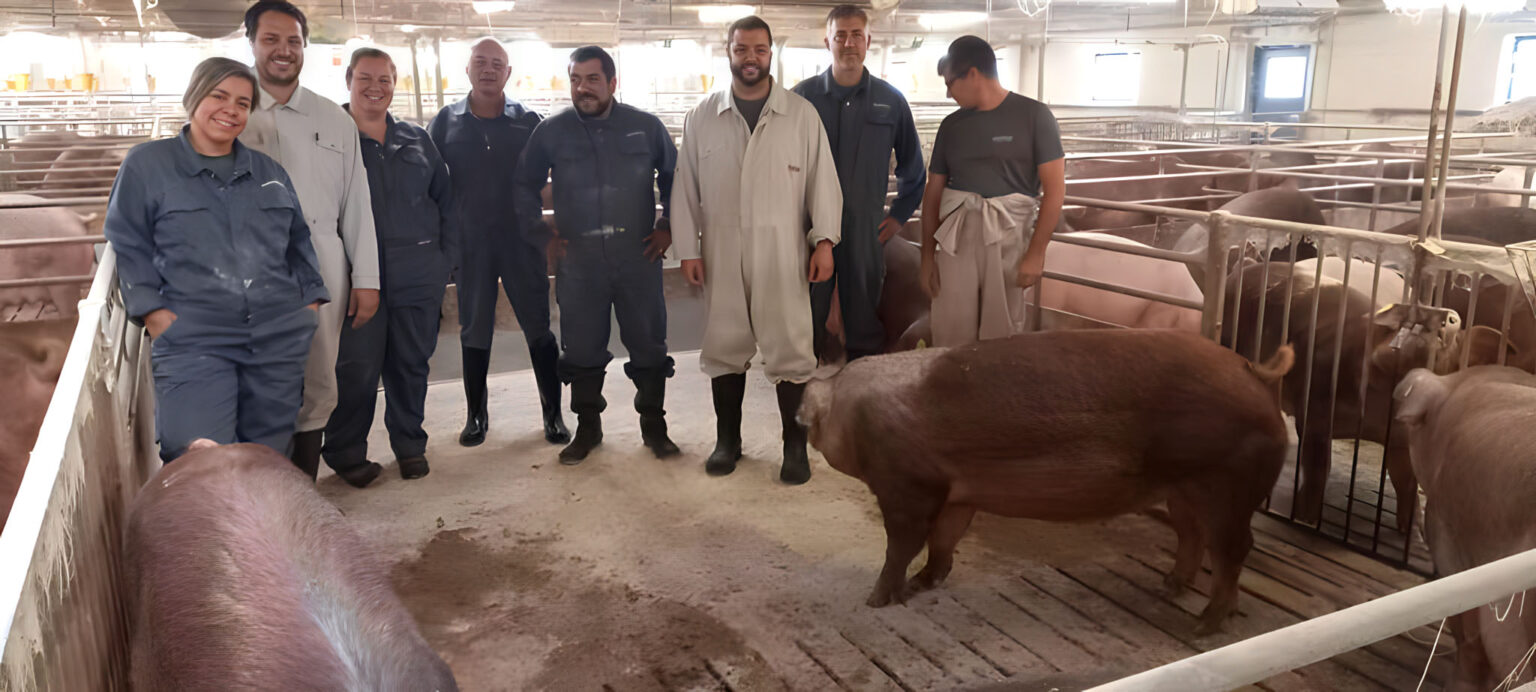 On-farm training - LATAM | DanBred Case Stories