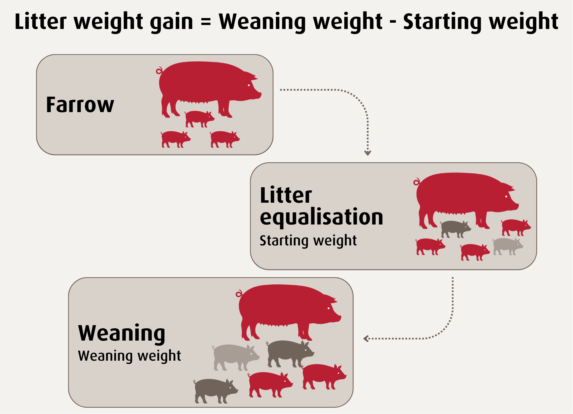 Increasing litter weight gain can reduce the number of work hours ...