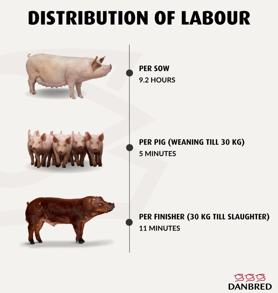 Breeding for profit | News | Productivity & Profit