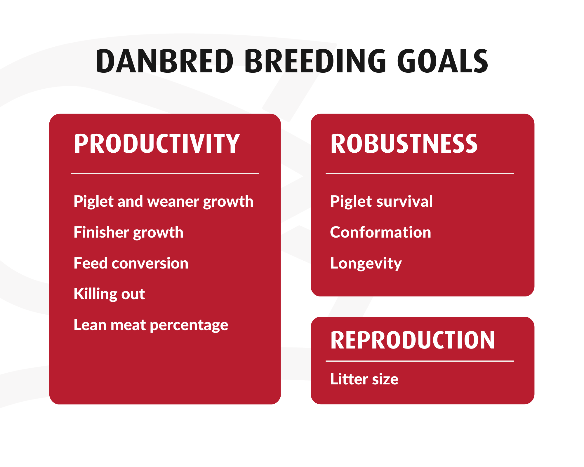 Balanced breeding for the future | News | Sustainability