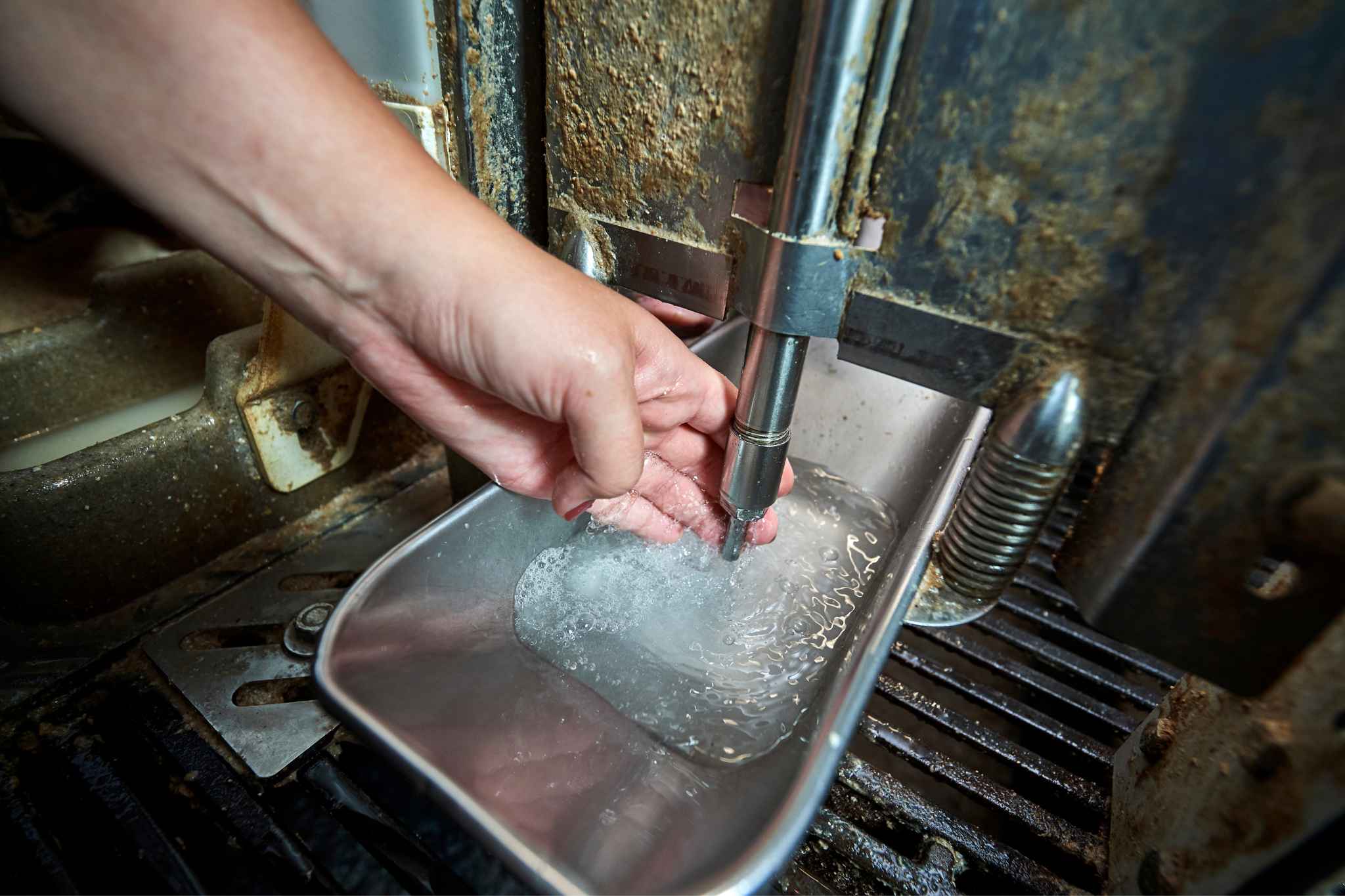 5 top tips: Water efficiency for modern pig farms | DanBred