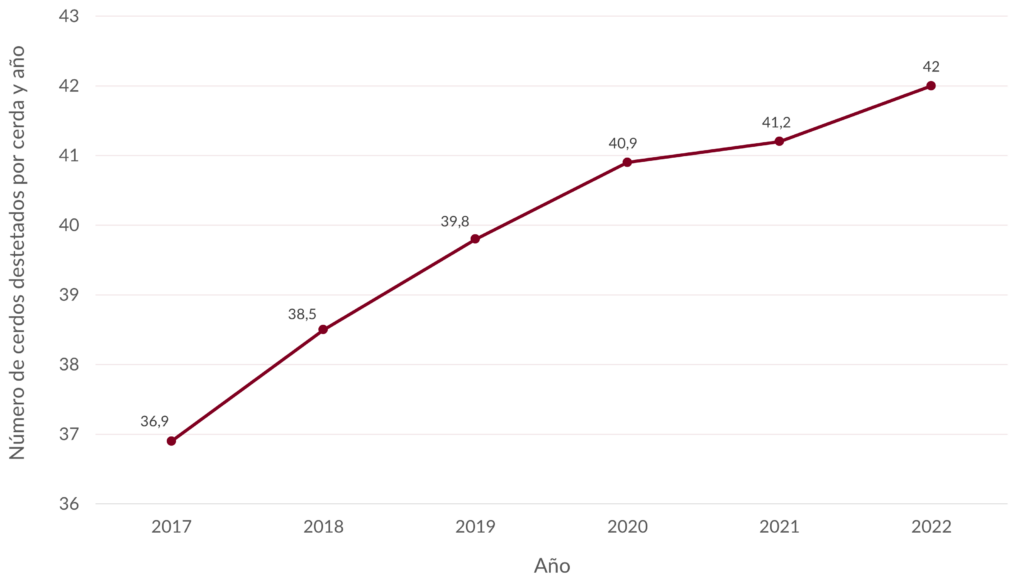 Hybrid | Most Prolific Hybrid for Production - DanBred